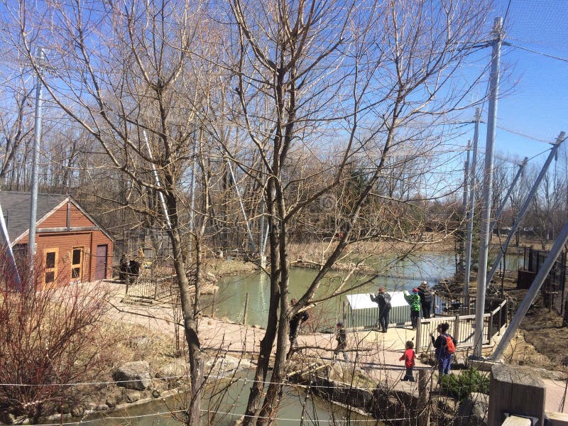 Zoo view. stock photo. Image of balcony, animals, view - 111783214