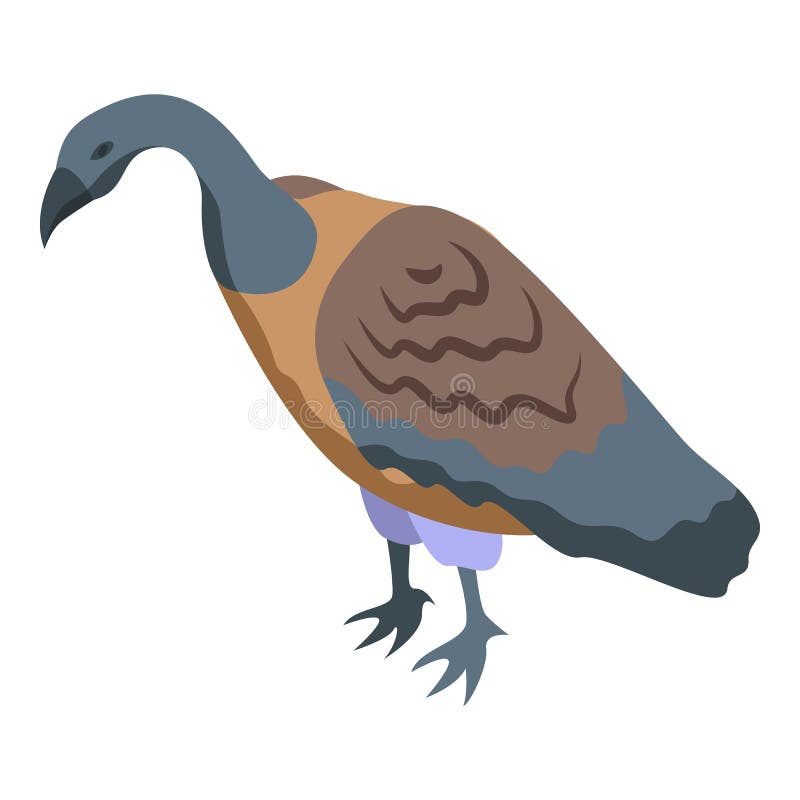 Zoo Vulture Icon Isometric Vector. Evil Bird Stock Vector ...