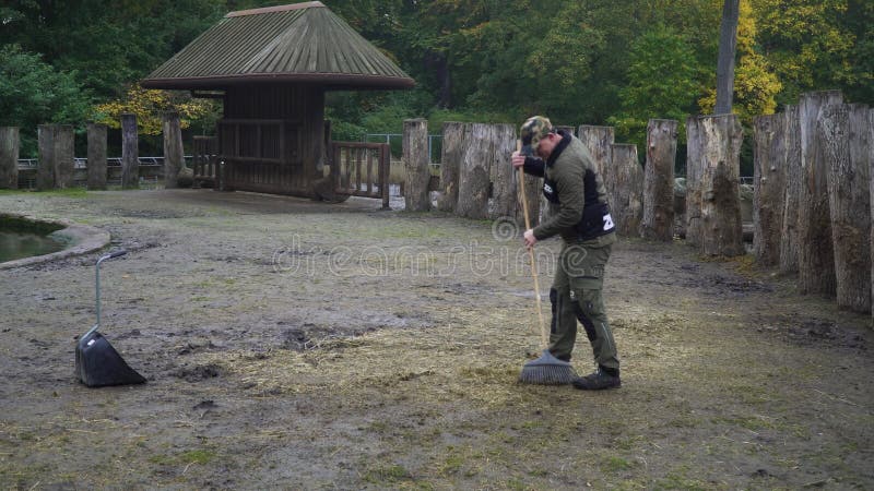 Zoo Worker Cleaning the Animals Enclosure Stock Footage - Video of ...