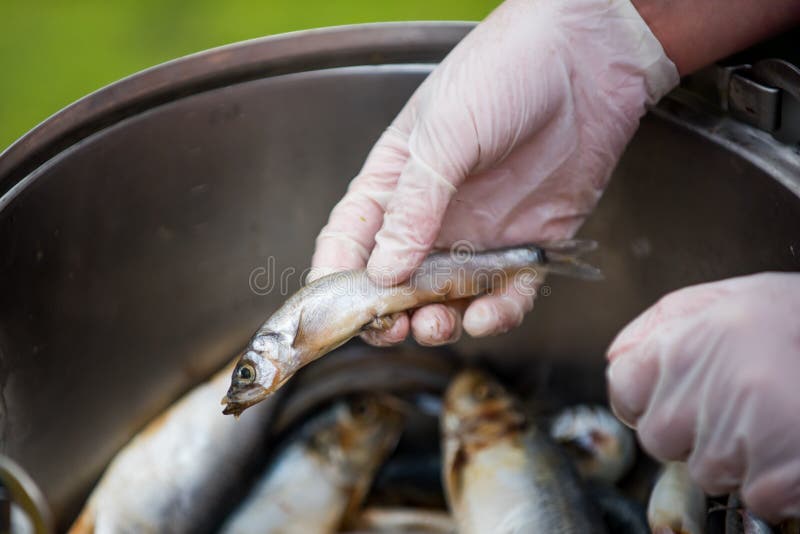 Zookeeper Feeding Animals Stock Photos - Free & Royalty-Free Stock ...