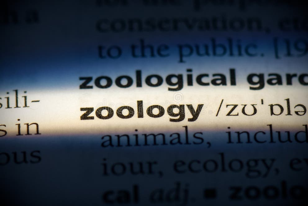 Zoology stock image. Image of language, word, info, reference - 161576257