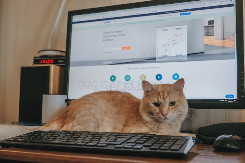 Zoom App for Video Communications, Cloud Platform Conferencing, Chat ...