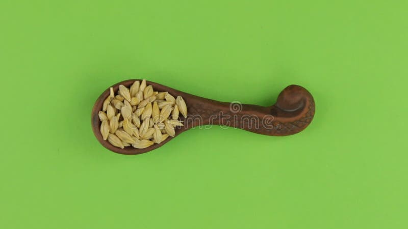 Zoom of a Clay Spoon with Barley Grain. Chroma Key, Green Screen Stock ...
