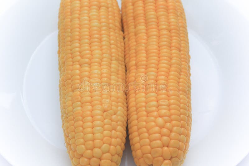 Zooms on the Corn Placed on a White Plate Stock Photo - Image of green ...