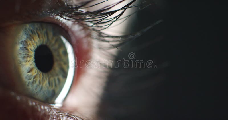 Zoom on Eye, Vision and Cyber Security Iris for Safety, Trust and ...