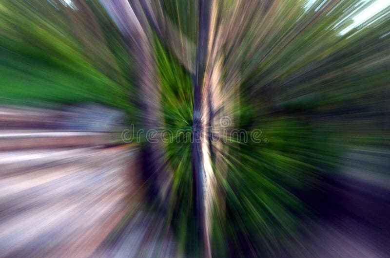 Zoom into a Forest with High Speed Textured Background Stock Image ...