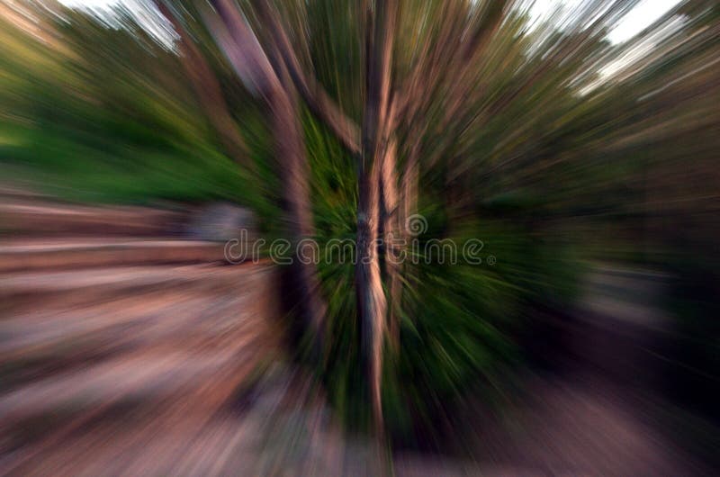Zoom into a Forest with High Speed Textured Background Stock Photo ...