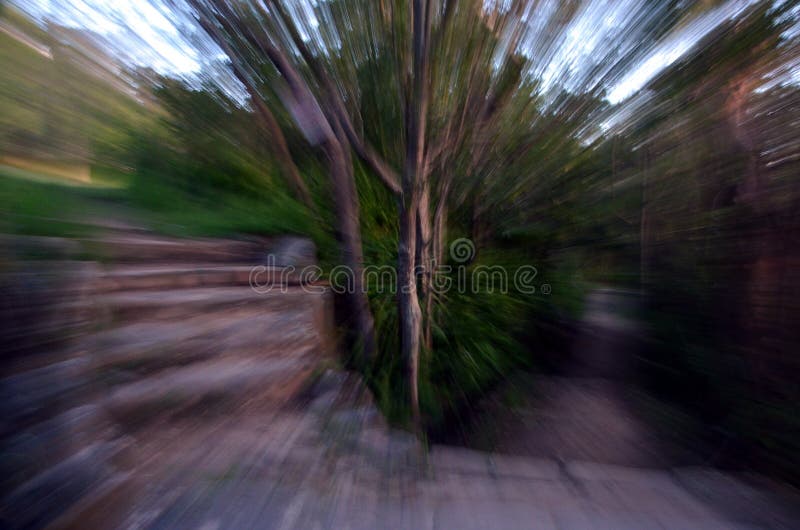 Zoom into a Forest with High Speed Textured Background Stock Image ...