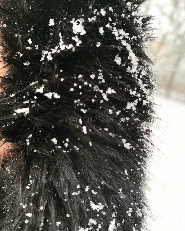 Zoom of fur coat with snow stock image. Image of snowflakes - 147791943