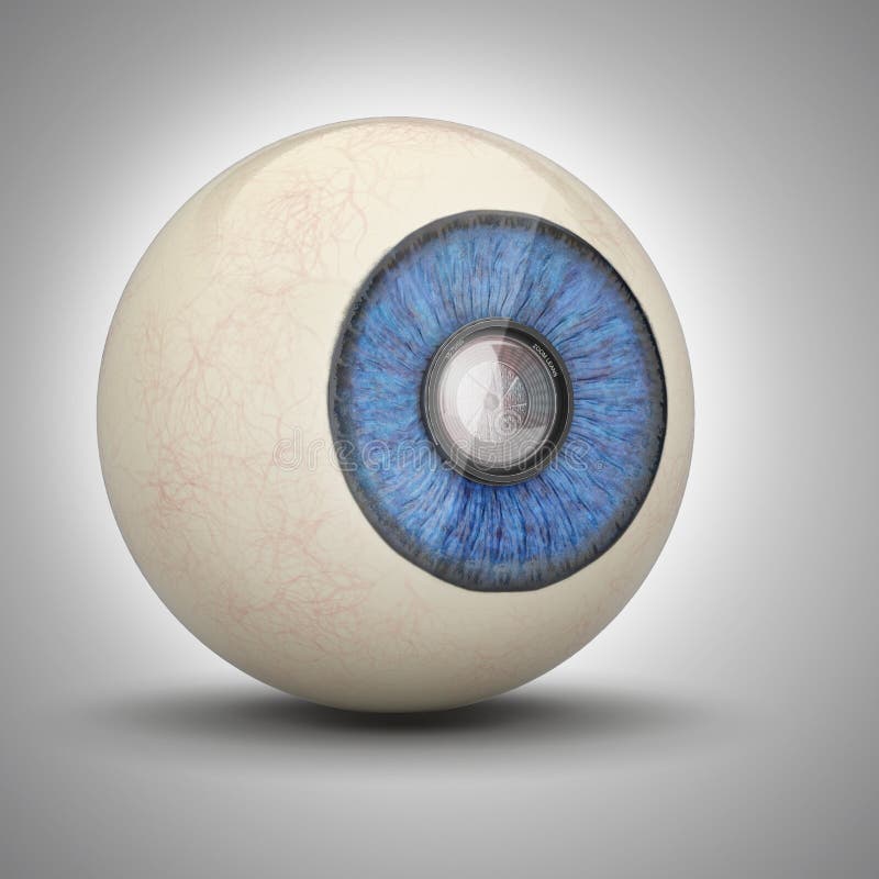 Inside Eye Technical Stock Illustrations – 74 Inside Eye Technical ...