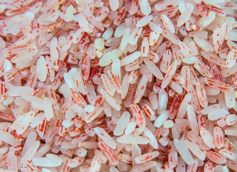 Zoom To Center Focus of Brown Rice Stock Image - Image of center, seed ...