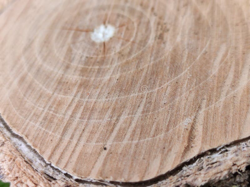 Zoom the Wood Texture with a Magnifying Glass Stock Photo - Image of ...
