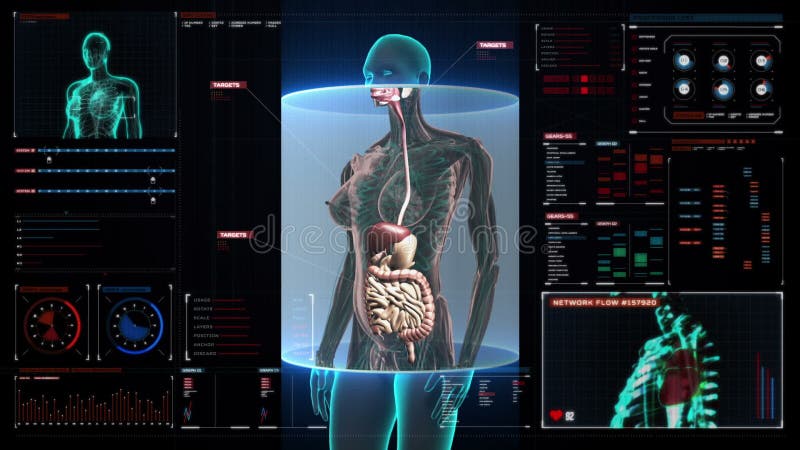 Female Internal Genital Organs Stock Video - Video of unborn, face ...