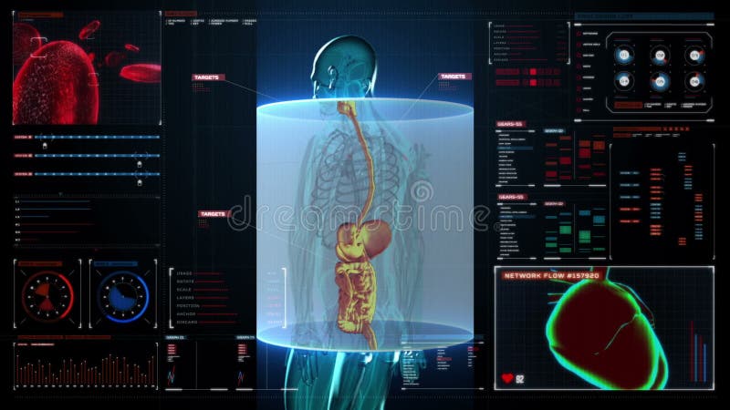 Zooming Front Female Body and Scanning Heart. Human Cardiovascular ...