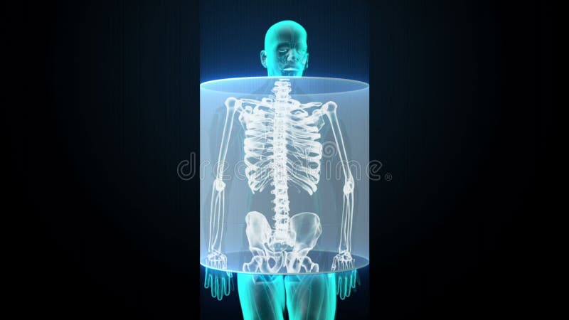 Zooming Human Skeletal Structure, Scanning Bone System, Blue X-ray ...
