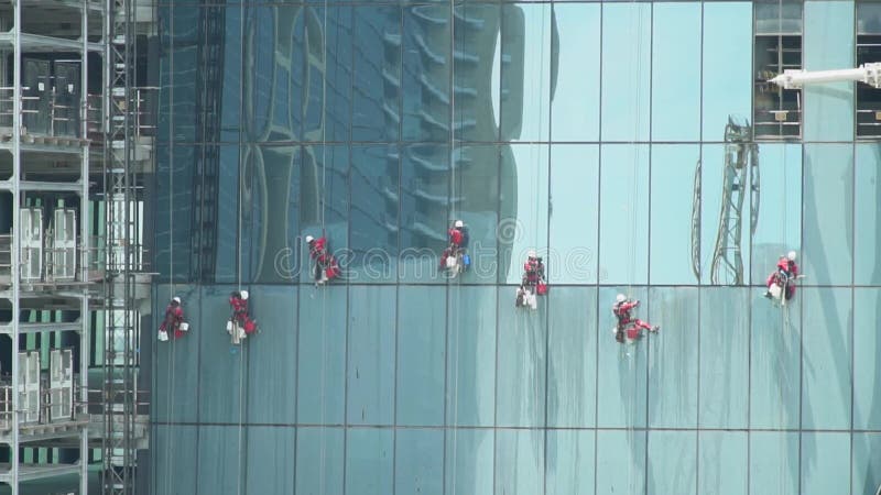 Workers cleaning windows stock footage. Video of high - 282404758