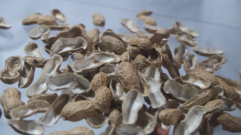 Zooming Out the Camera Movement on Peanut Shells. from Initially Blurry ...