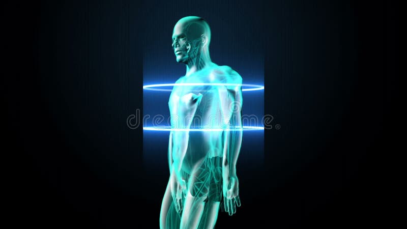 The Cardiovascular System Consists of the Heart and Blood Vessels ...