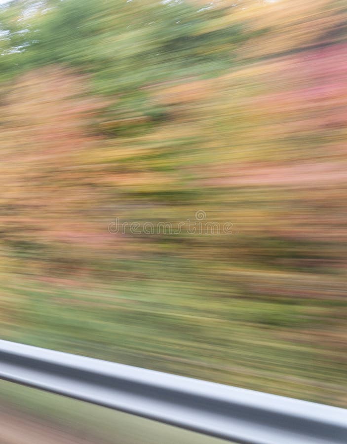 Streaky fall foliage stock image. Image of streaks, green - 142737087