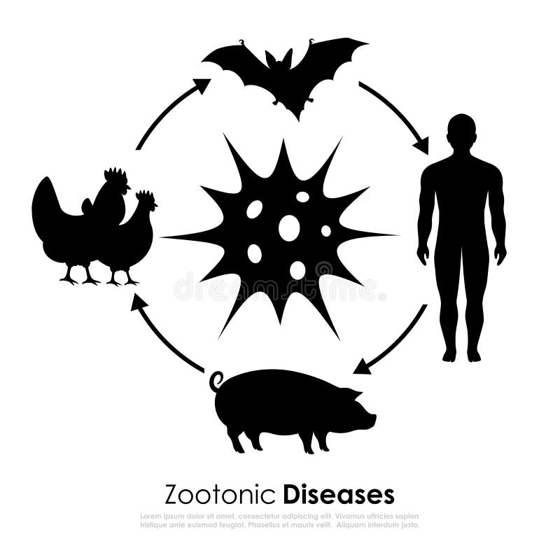 Zoonotic Disease Vector Icon Stock Vector - Illustration of graphics ...