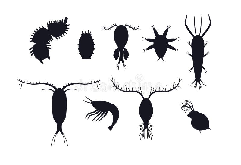 Zooplankton Black Silhouettes Set, Flat Vector Illustration Isolated on ...