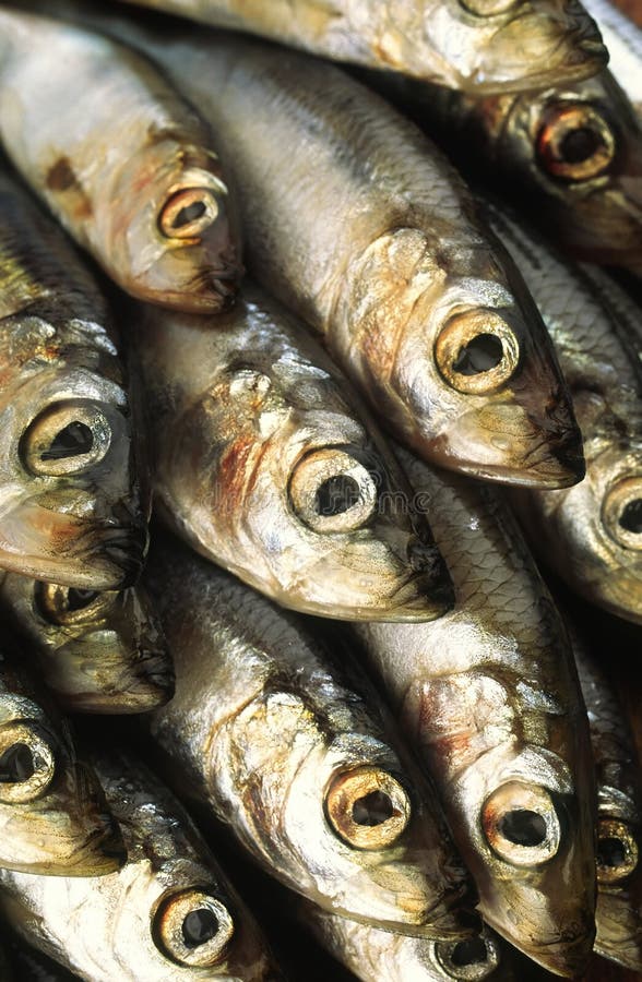 Zoute haringen stock foto. Image of kleur, ritme, dieet - 2209940