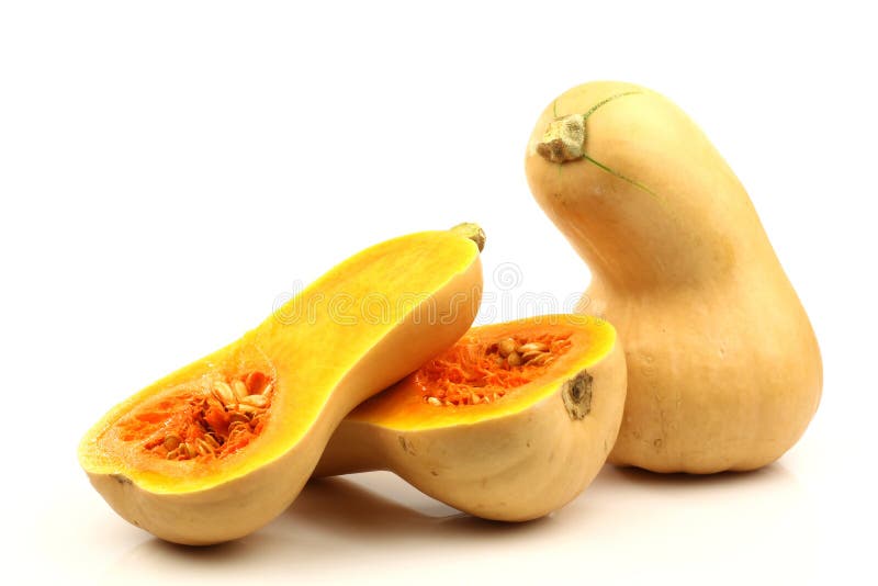 Zucca a Forma Di Del Butternut Della Bottiglia Immagine Stock ...