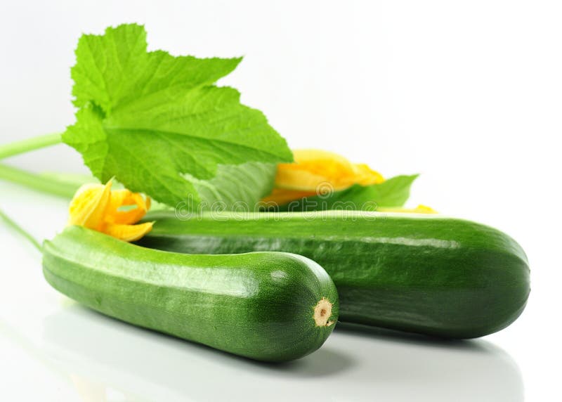 Zucchini stock image. Image of healthy, green, farm, shadow - 15343607