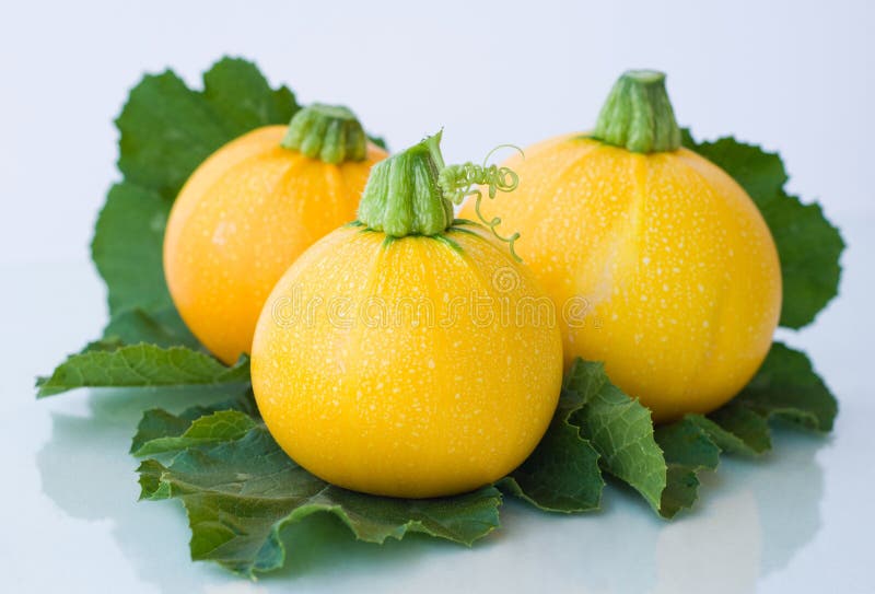 Zucchini stock image. Image of still, ball, hybrid, pumpkin - 25484467