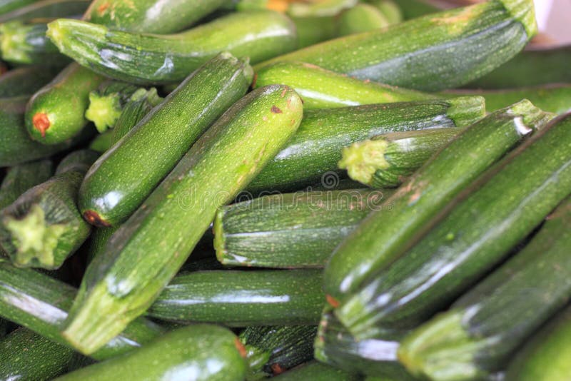Zucchini Background stock photo. Image of farmer, vegetable - 26005738