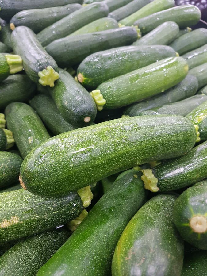 Zucchini background stock image. Image of vegetables - 100756097