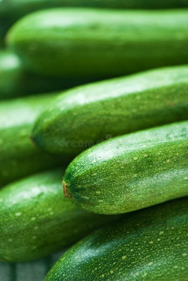Zucchini stock image. Image of eating, food, courgette - 44305939