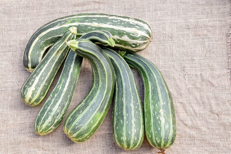 Zucchini of Different Varieties Stock Photo - Image of fresh, farm ...