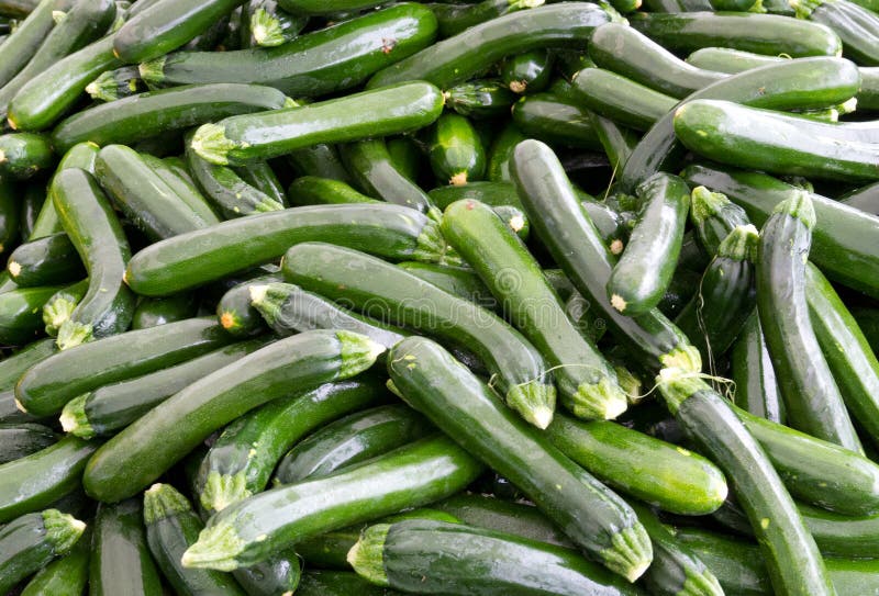 Zucchini at the Farmer S Market Stock Photo - Image of zucchini ...