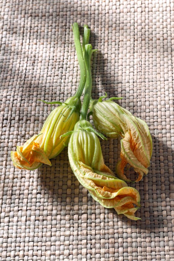 Zucchini flowers stock image. Image of zucchine, fiori - 16876305
