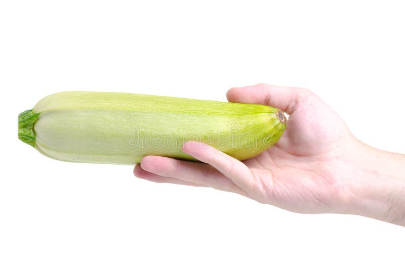 Zucchini in hand stock image. Image of group, give, organic - 146942411