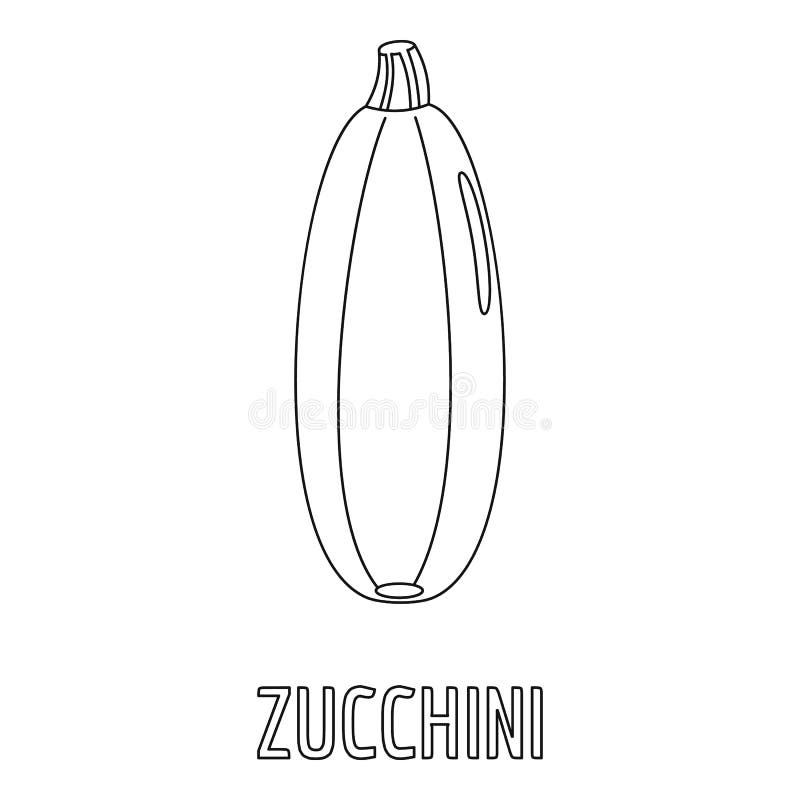 Zucchini Outline Vector Icon. Thin Line Black Zucchini Icon, Flat ...