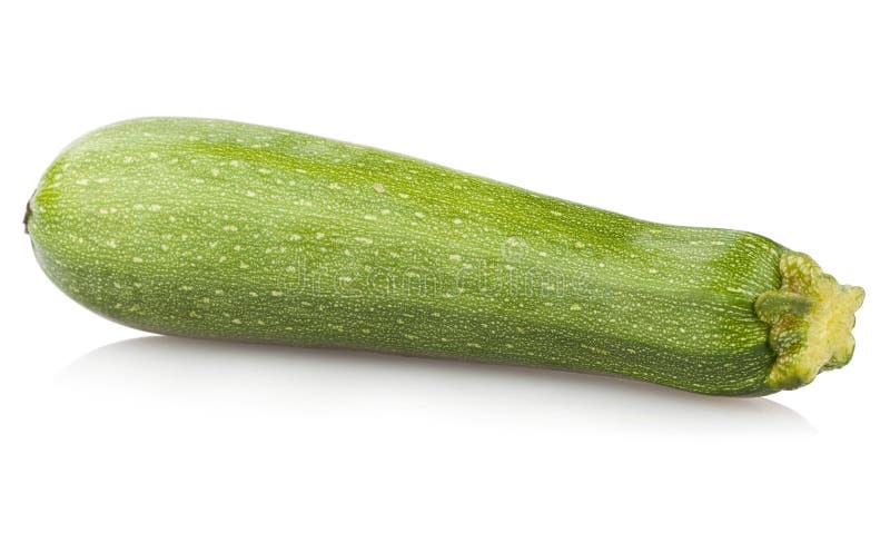 Zucchini marrow stock image. Image of zucchini, melon - 19074707