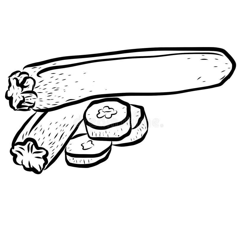Zucchini Sketch Vegetables Outline Vector Artwork Stock Vector ...
