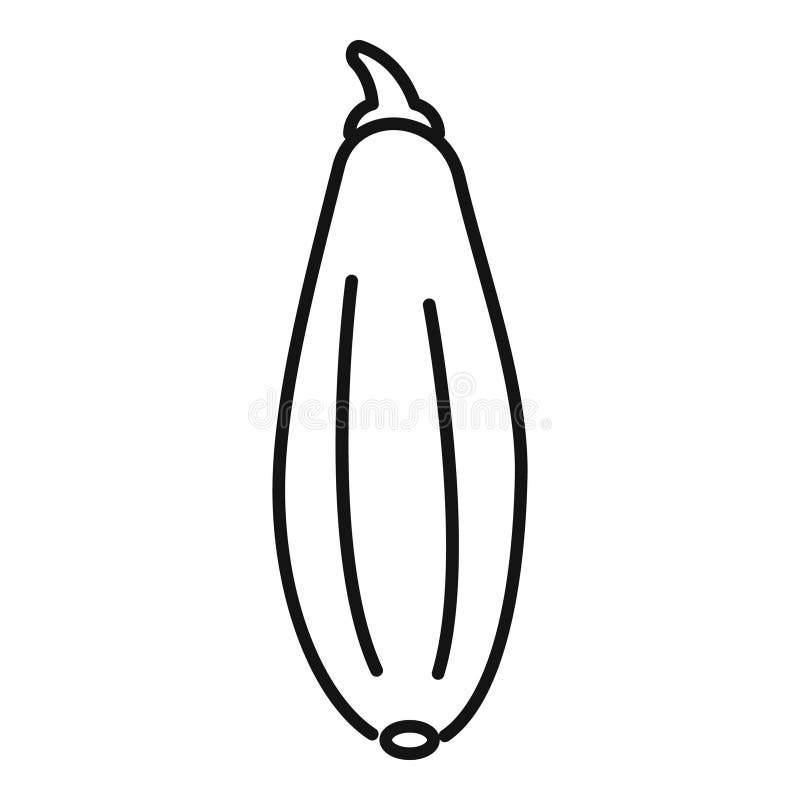 Squash Line Drawing Stock Illustrations – 2,360 Squash Line Drawing ...