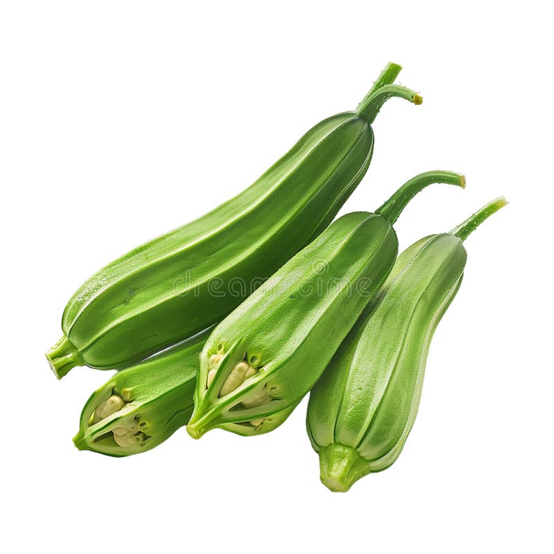 Zucchini Summer Squash on Transparent Background - Ai Generated Stock ...