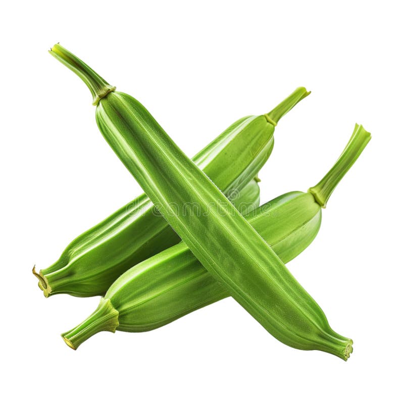 Zucchini Summer Squash on Transparent Background - Ai Generated Stock ...