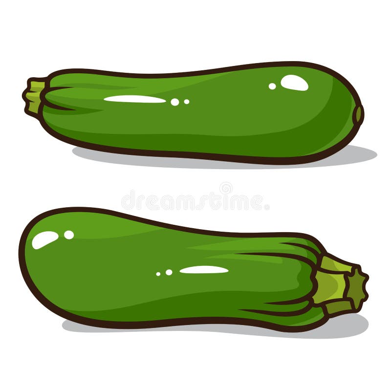 Zucchini stock vector. Illustration of ripe, garden, fresh - 40508818