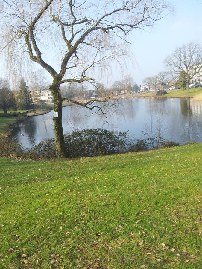 Zuiderpark stock image. Image of zuiderpark, apeldoorn - 50340567