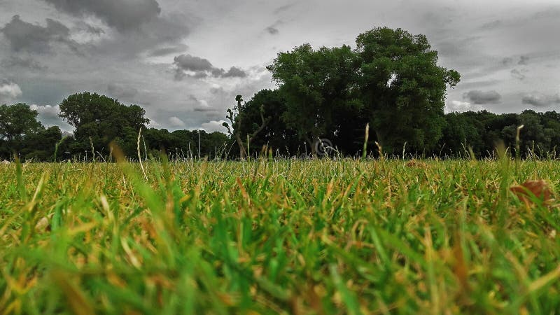 Zuiderpark Seen from Ground Stock Image - Image of grass, trees: 95308173