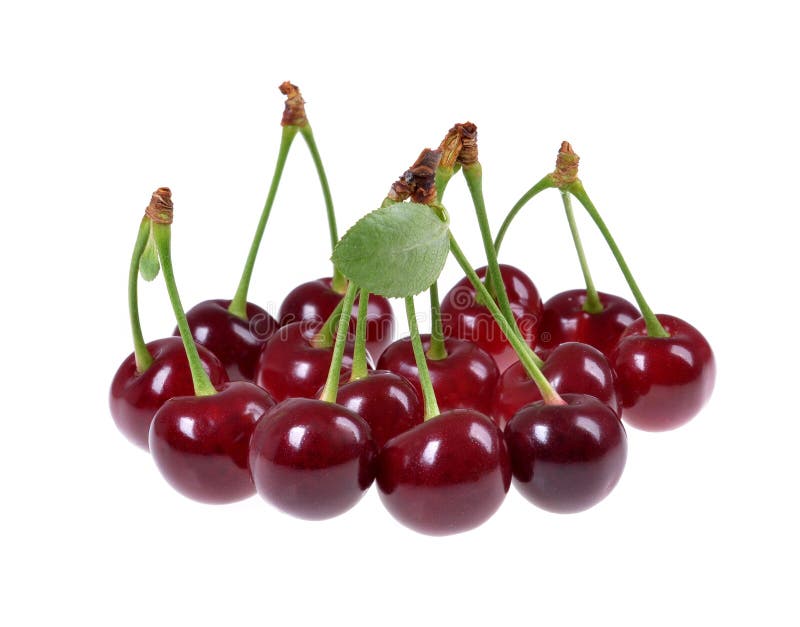 Zure Die Kers Op Wit Wordt Geïsoleerd Stock Foto - Image of helder ...