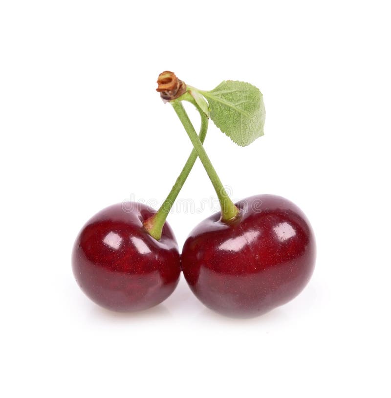 De Boom van de zure Kers stock foto. Image of bloemblaadje - 53445530