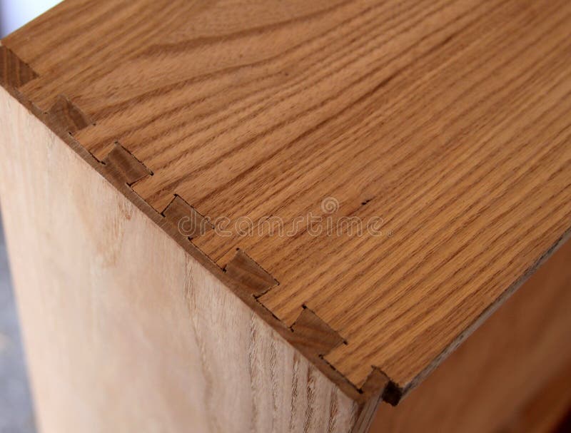 Zwaluwstaart stock afbeelding. Image of zwaluwstaart, controle - 1831701