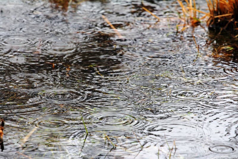 Zware regen met vloed stock foto. Image of slecht, regen - 88224428