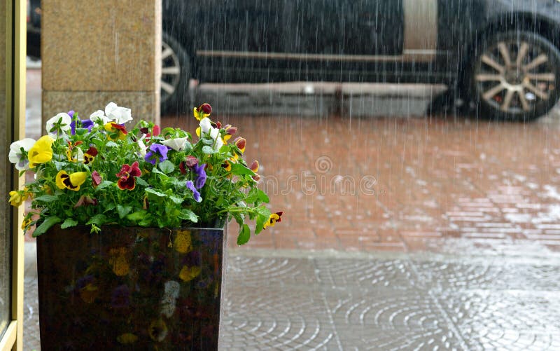 Zware regen in Moskou, stock afbeelding. Image of onweersbui - 94501693